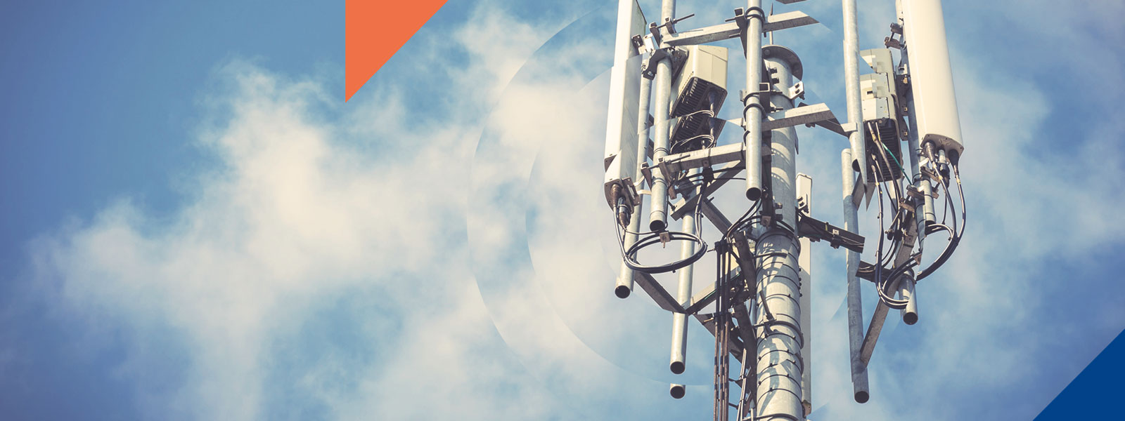 Next Enterprises | We Go Above and Beyond at Work